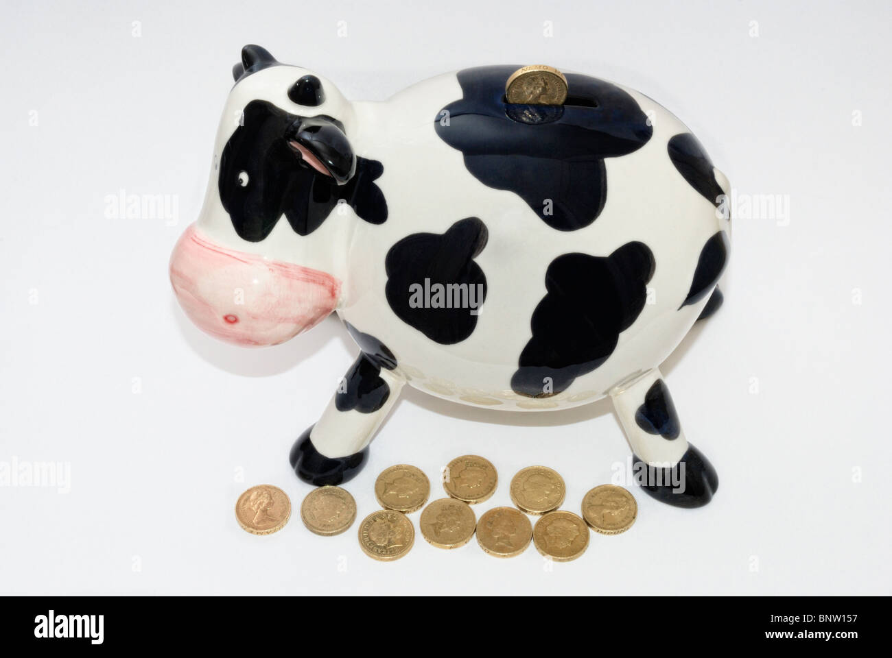 Cash cow savings bank Stock Photo - Alamy
