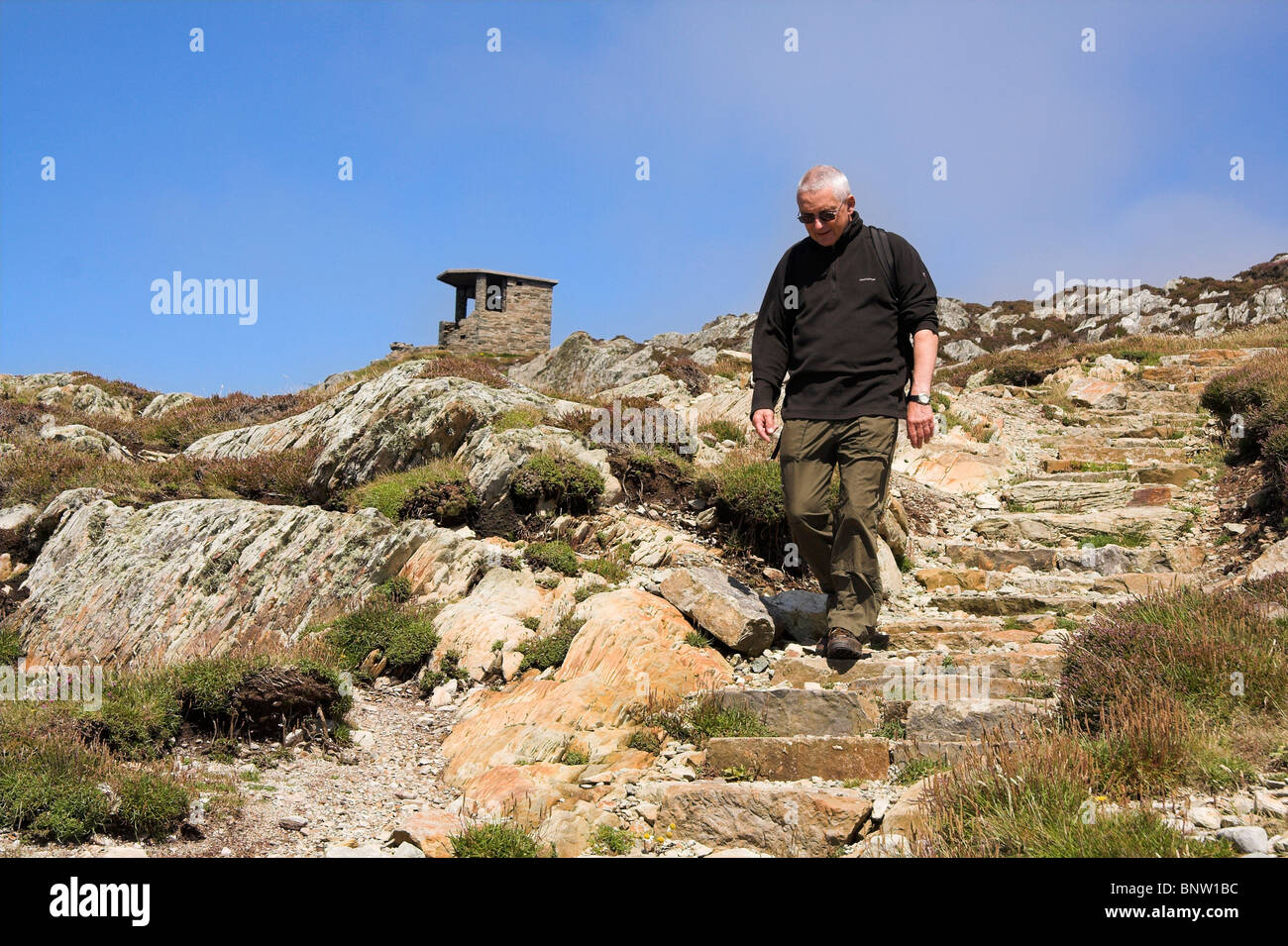 Man walking down a hill at South Stack Cliffs, RSPB reserve, Anglesey ...