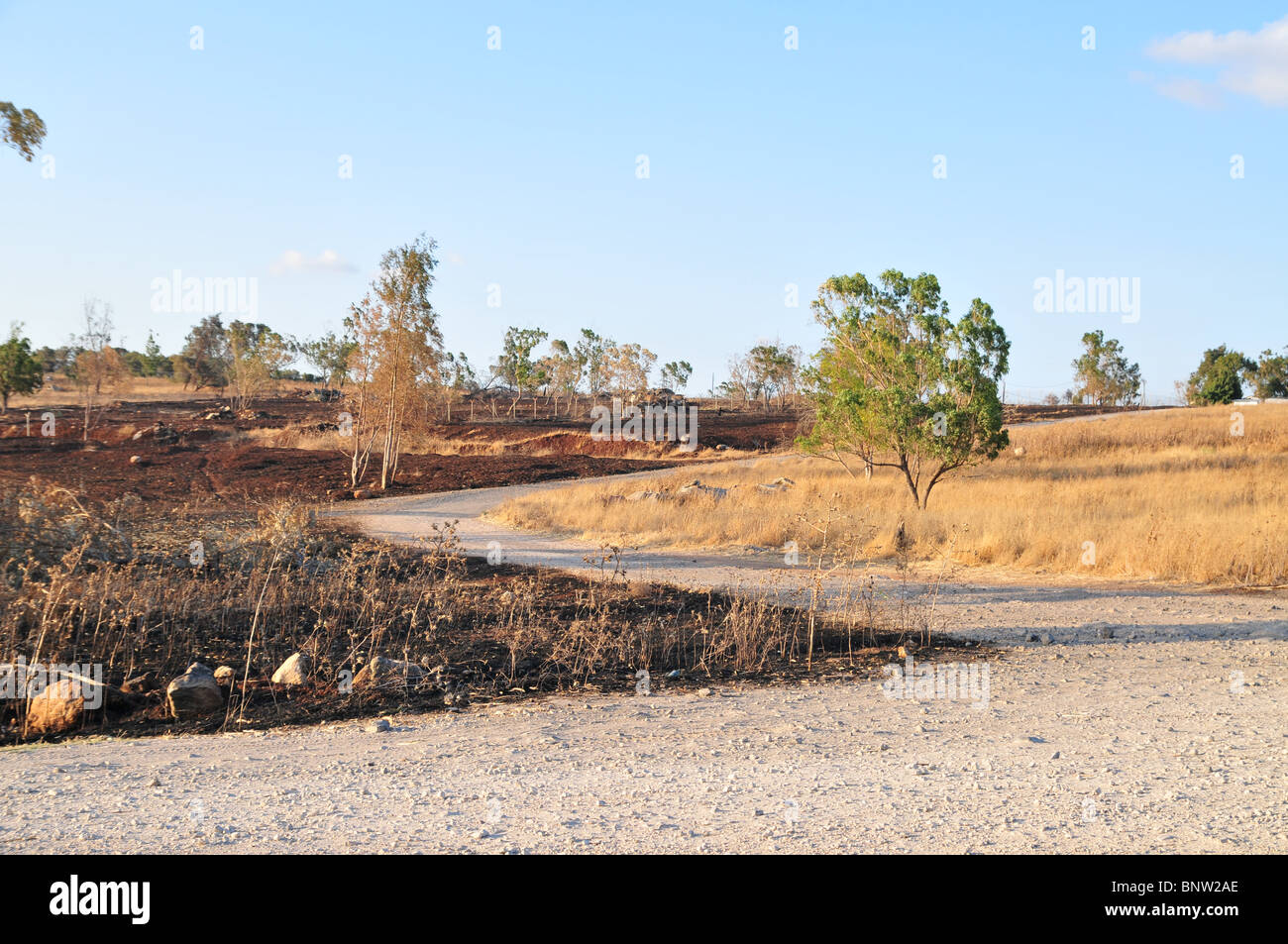 Israel, Jezreel Valley, Mount Gilboa Stock Photo - Alamy