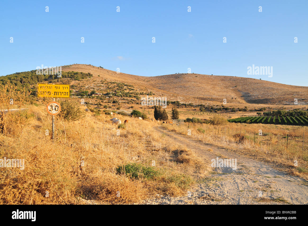 Mount gilboa israel valley jezreel hi-res stock photography and images ...