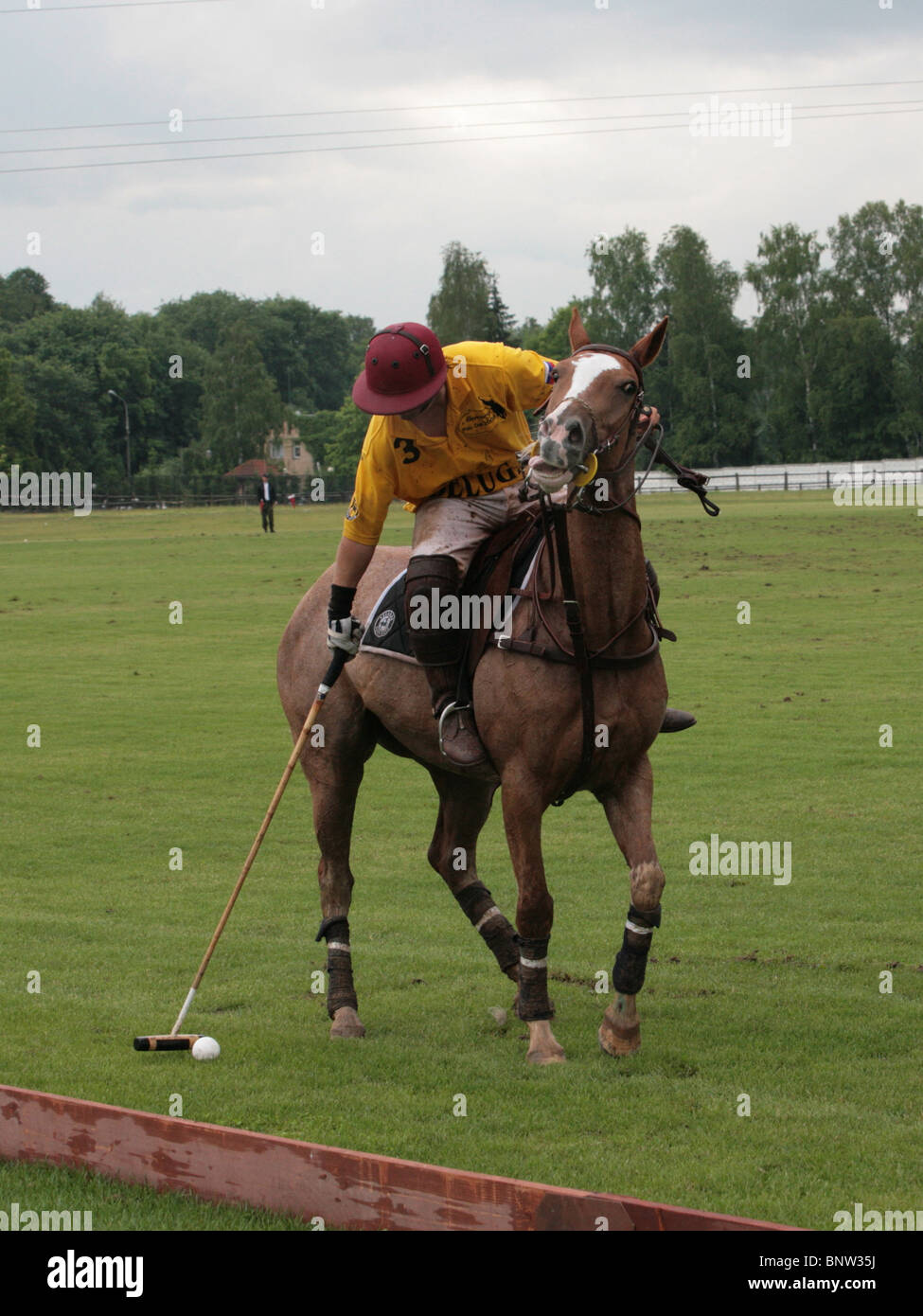 MALE POLO PLAYER Stock Photo - Alamy