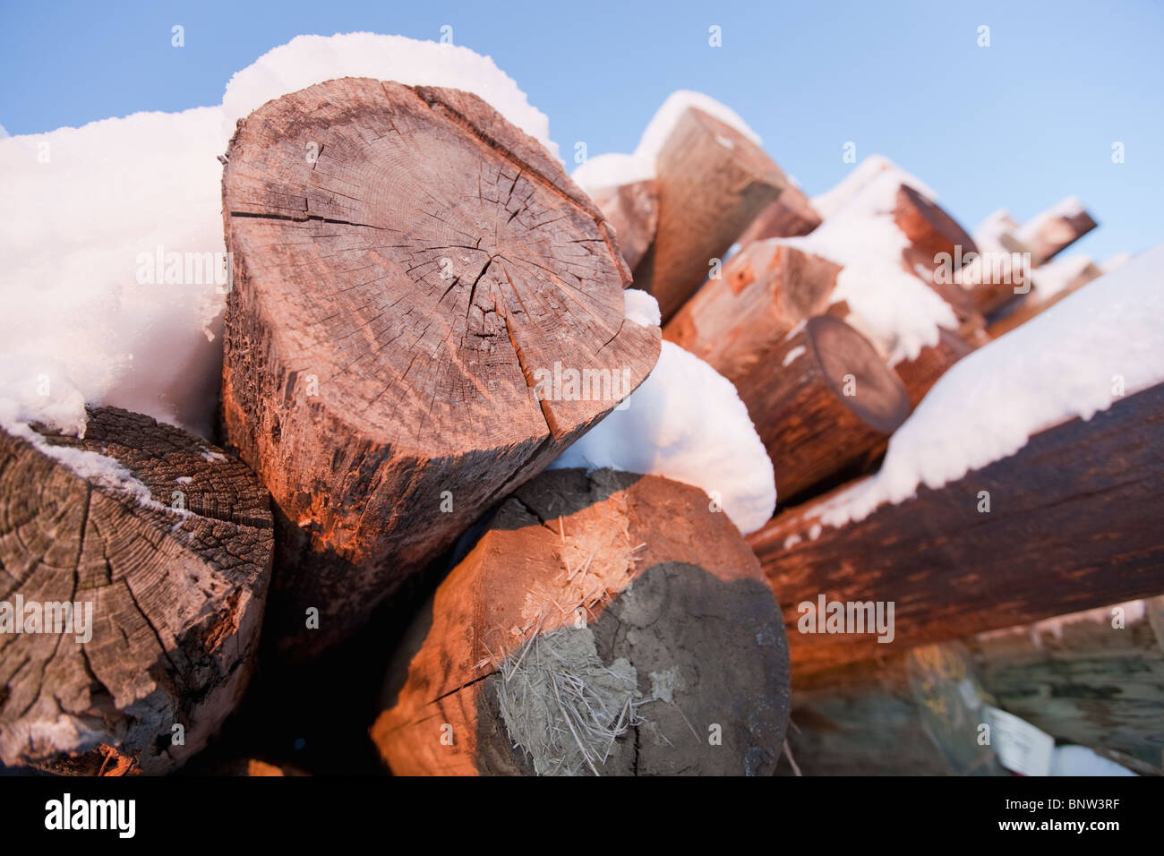 Pile of logs covered in snow Stock Photo - Alamy
