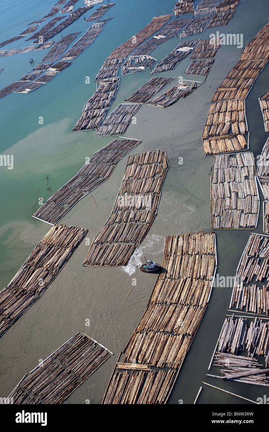 Logging industry canada logs hi-res stock photography and images - Alamy