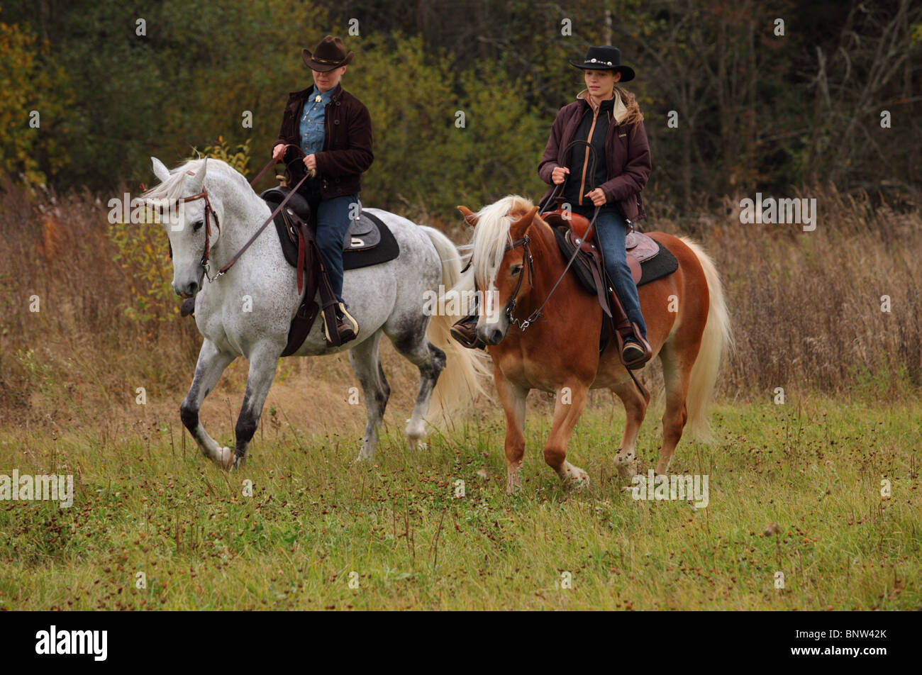 Tennessee walking horse hi-res stock photography and images - Alamy