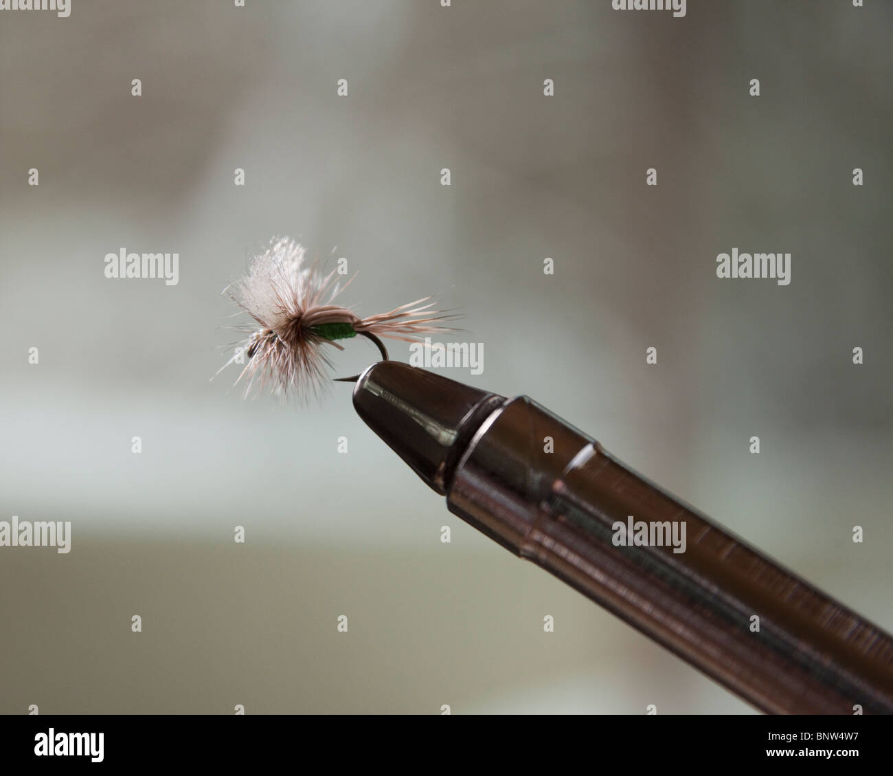 Fishing hook hi-res stock photography and images - Alamy