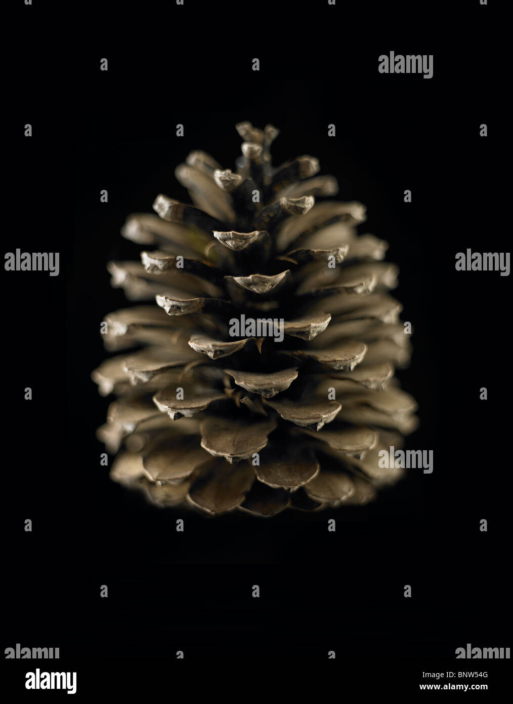 The black cone hi-res stock photography and images - Alamy