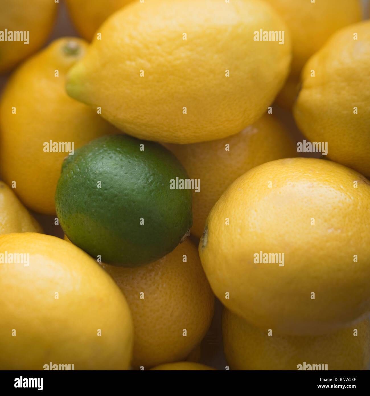 No one food hi-res stock photography and images - Alamy