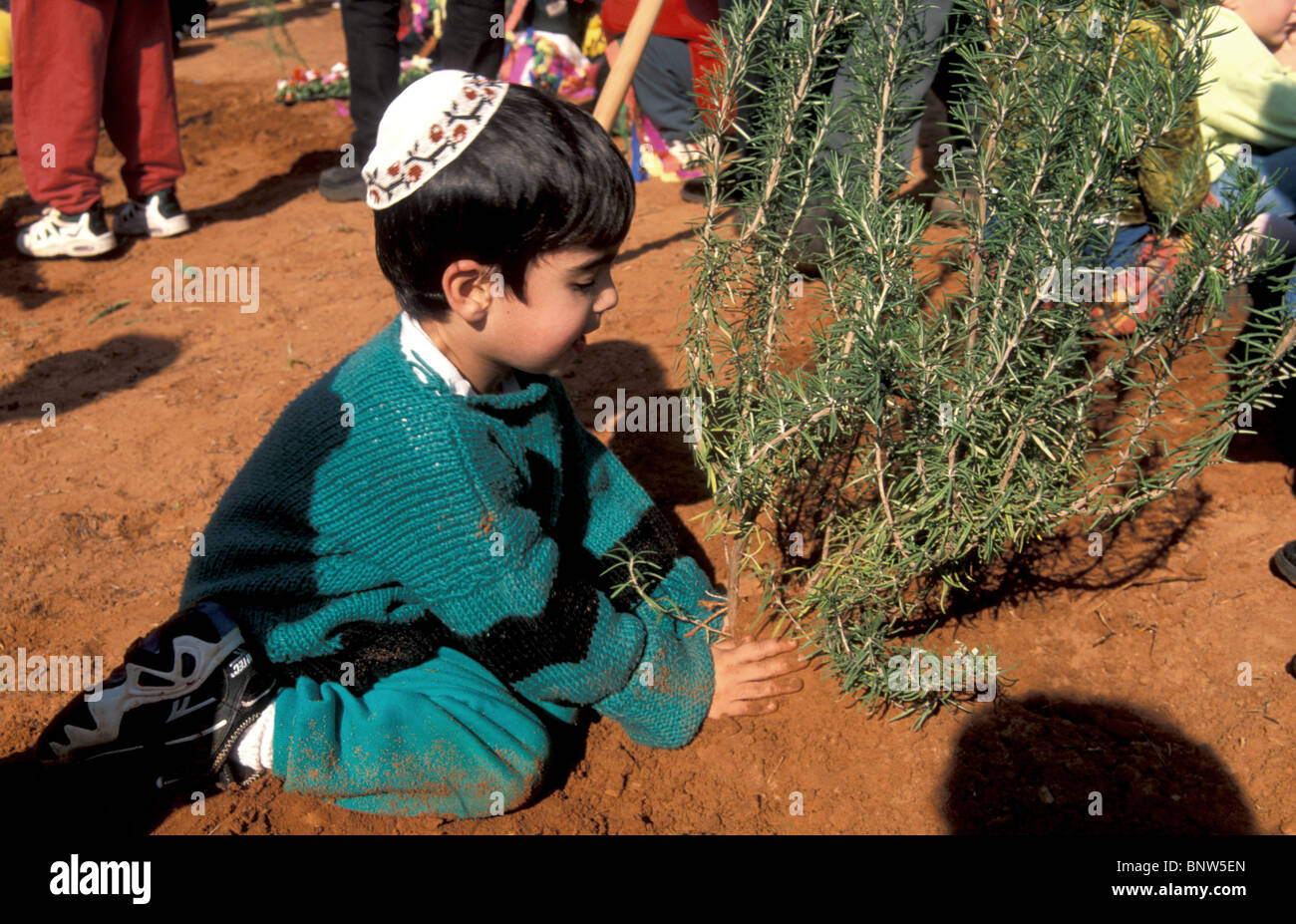 Israel, tree planting on Tu B'shvat holiday Stock Photo - Alamy