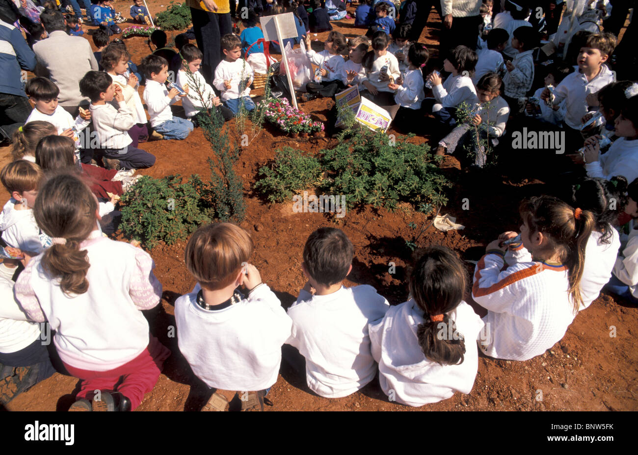 Israel, tree planting on Tu B'shvat holiday Stock Photo - Alamy