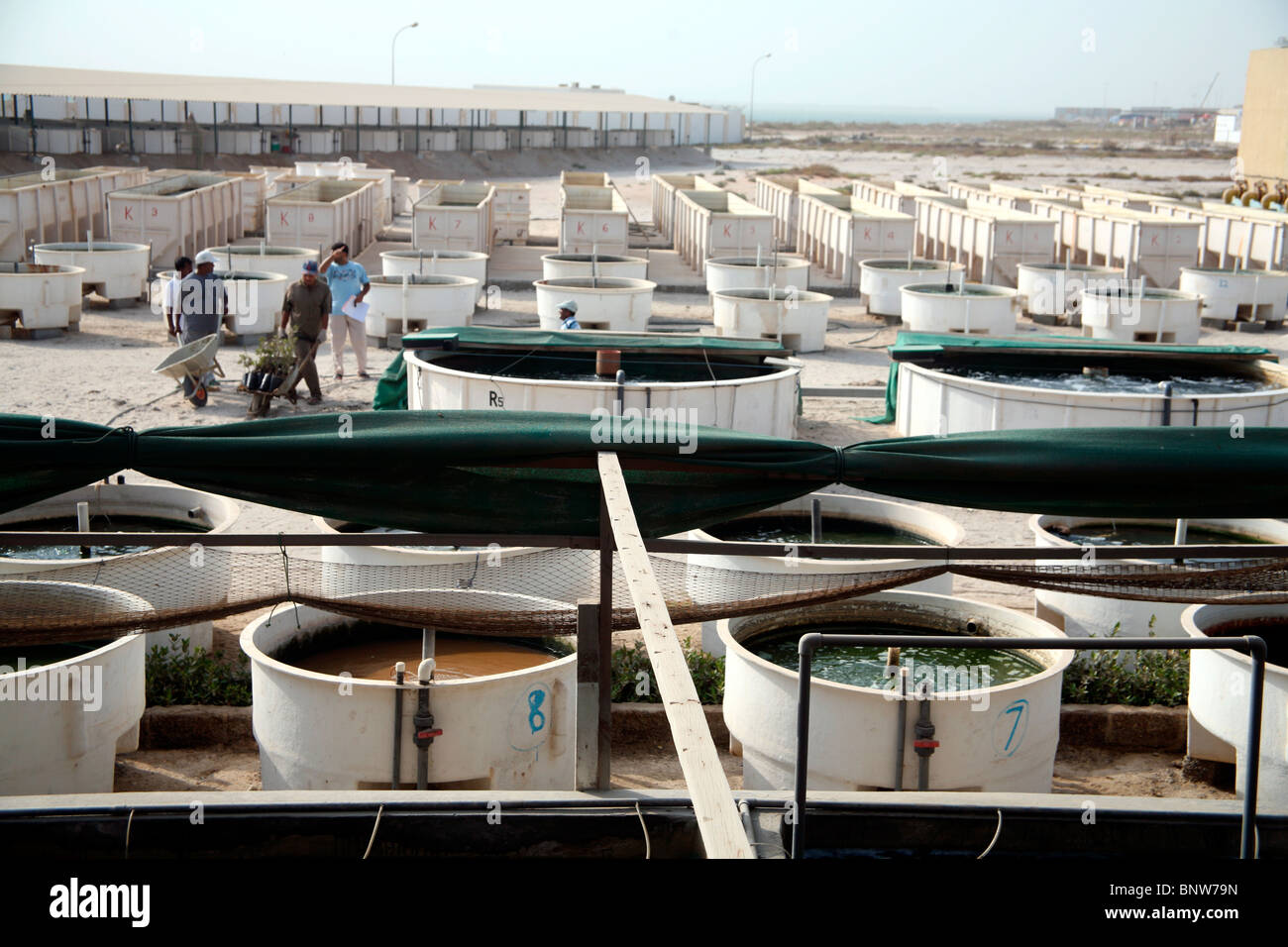 The tanks hi-res stock photography and images - Alamy
