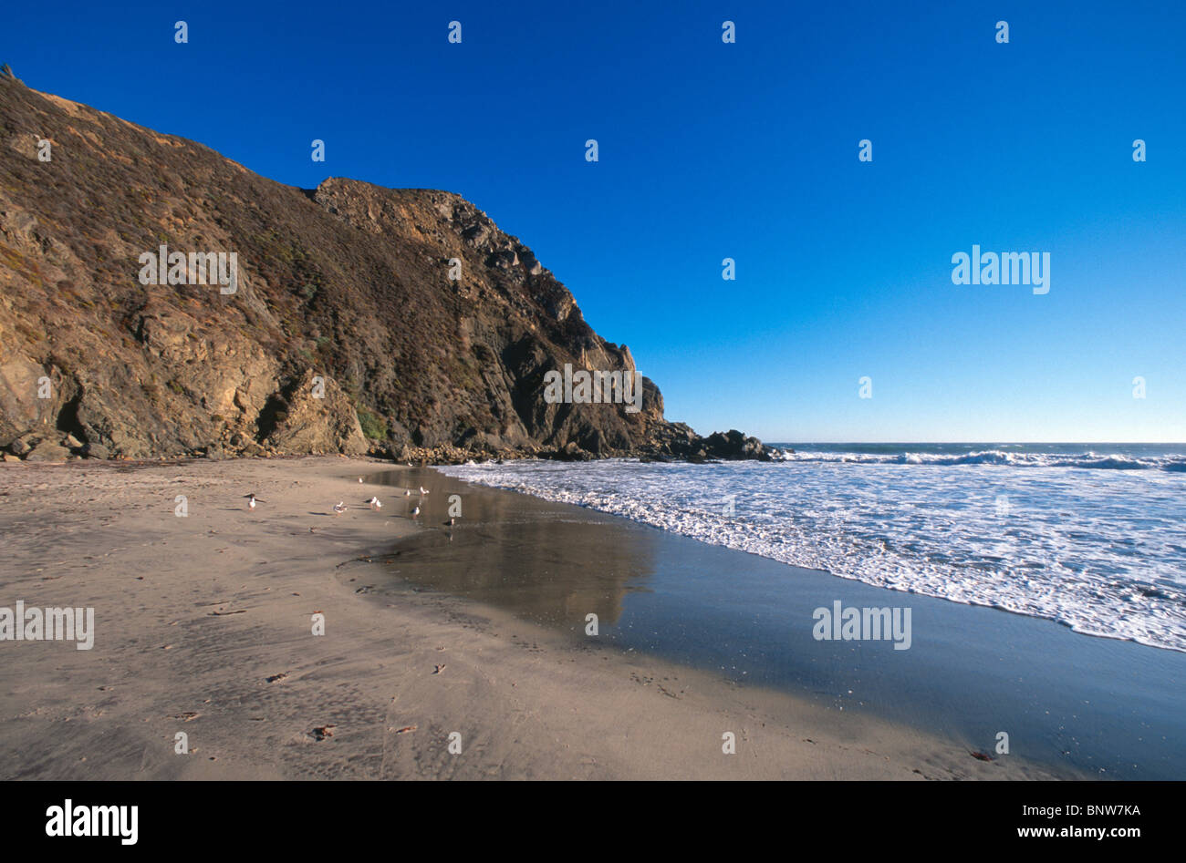 Monterey state beach beaches hi-res stock photography and images - Alamy