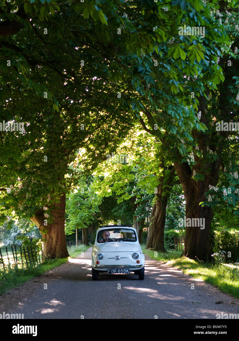 Original fiat 500 cinquecento hi-res stock photography and images - Alamy