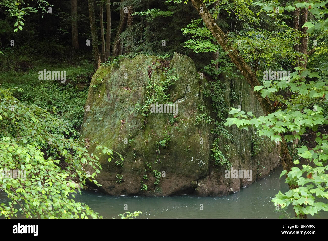 Rock outcroppings along Roaring Paunch Creek at Barthell coal Mining ...