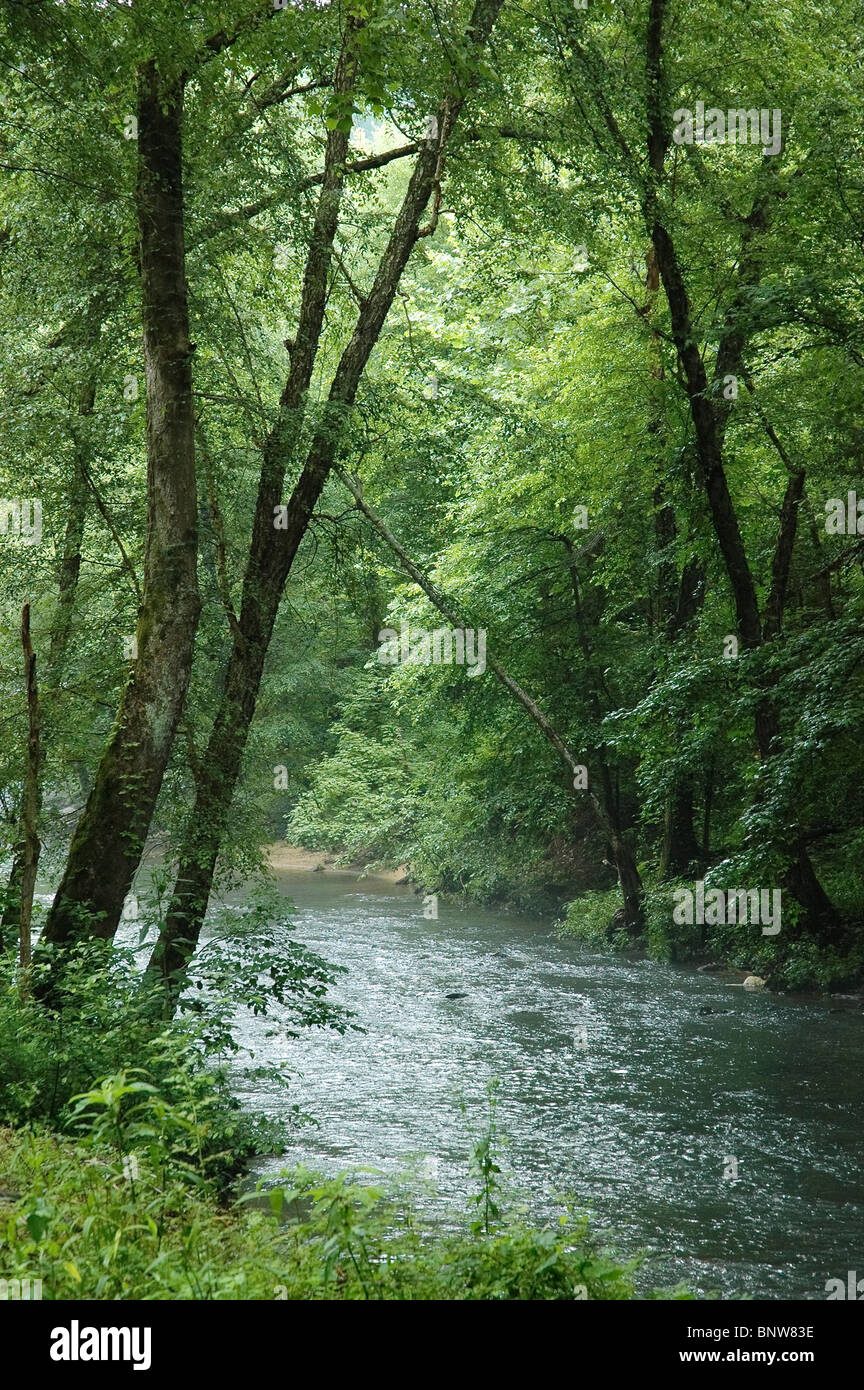Roaring Paunch Creek at Barthell coal Mining Camp, Kentucky Stock Photo ...