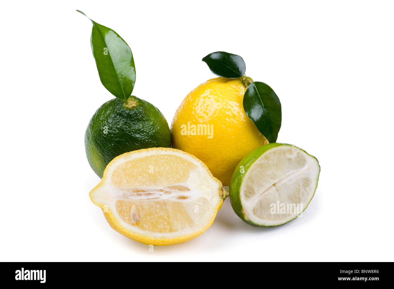 object on white - food lime with lemon close up Stock Photo - Alamy