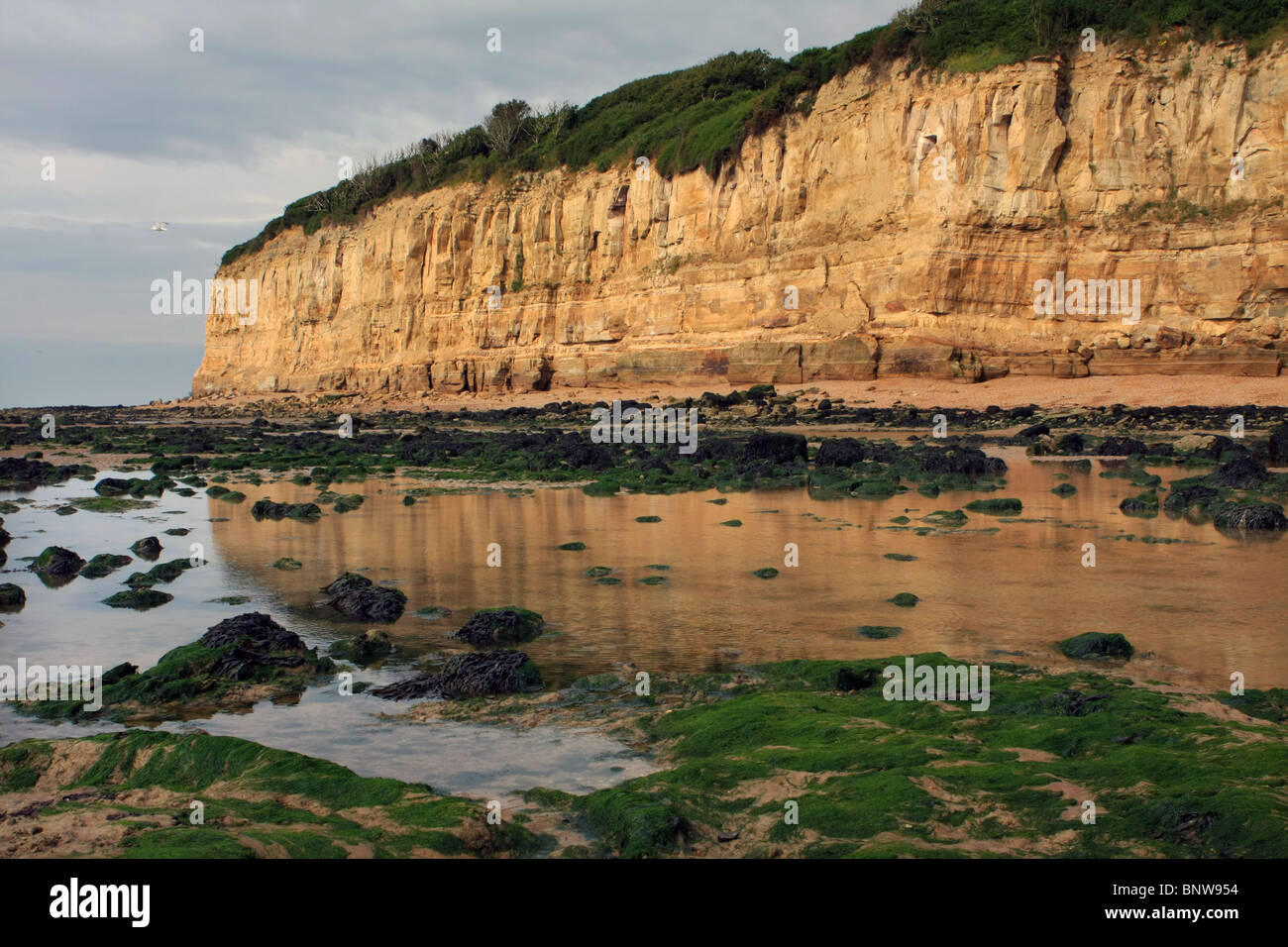 Pett level beach hi-res stock photography and images - Alamy