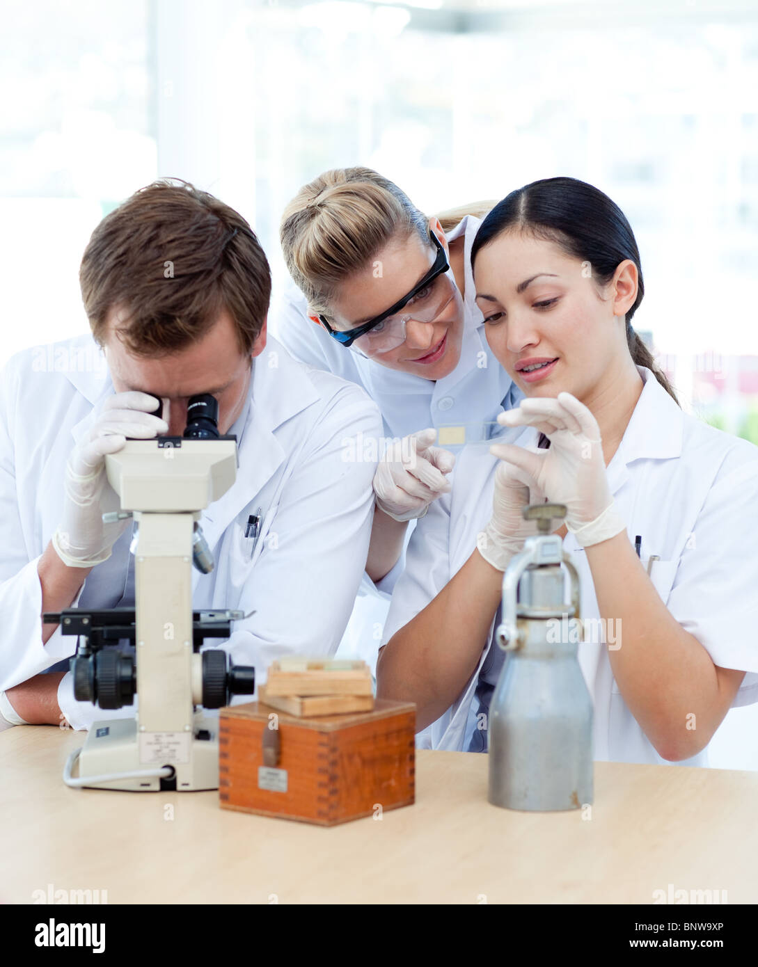 People working in a laboratory Stock Photo - Alamy