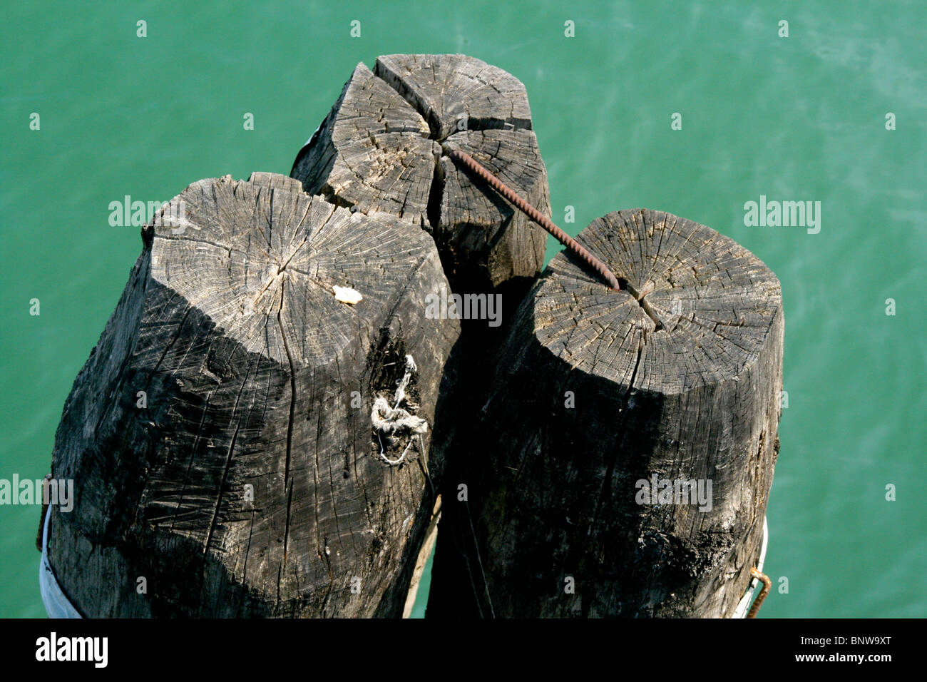 Three wooden poles in the sea near Venice, Italy Stock Photo - Alamy