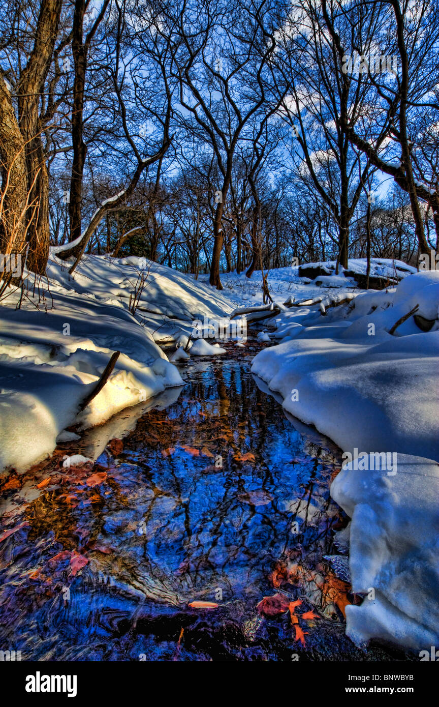 The Gill, a tumbling stream that cuts through the Ramble, in New York ...