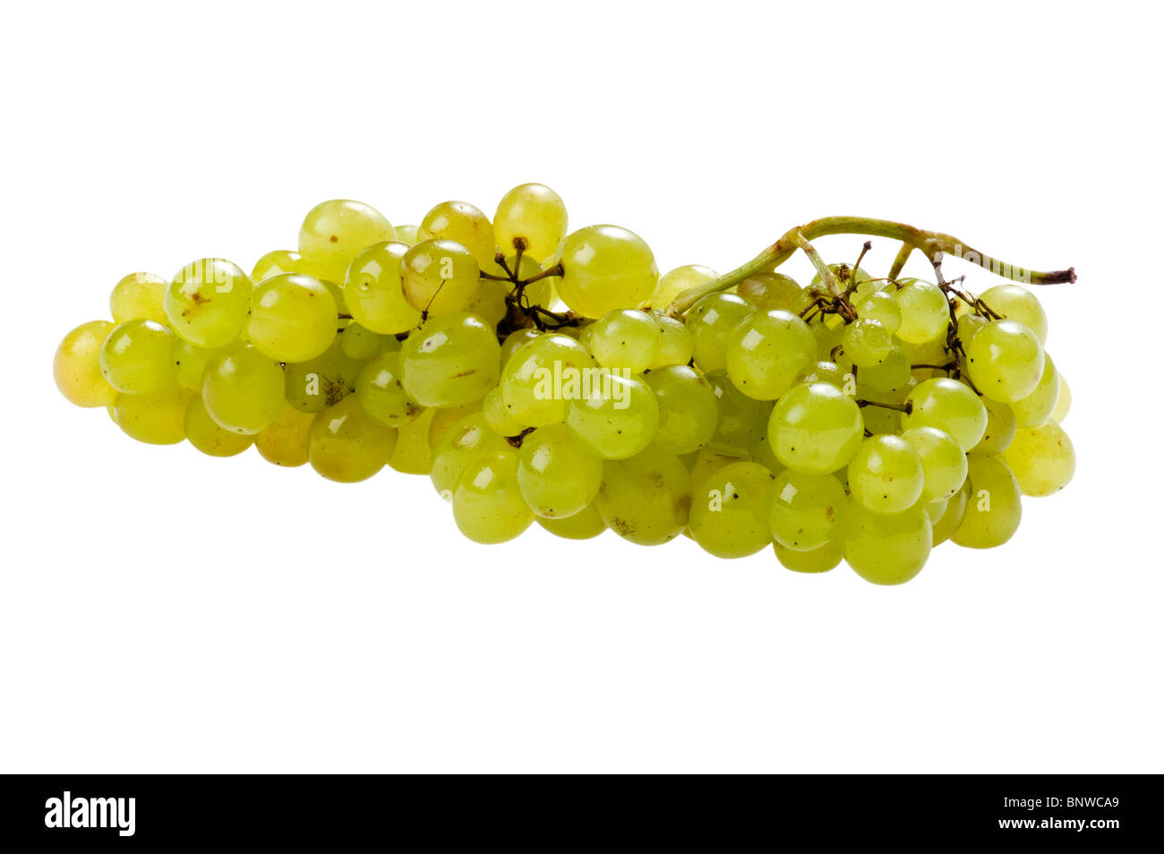 object on white - food grapes close up Stock Photo - Alamy