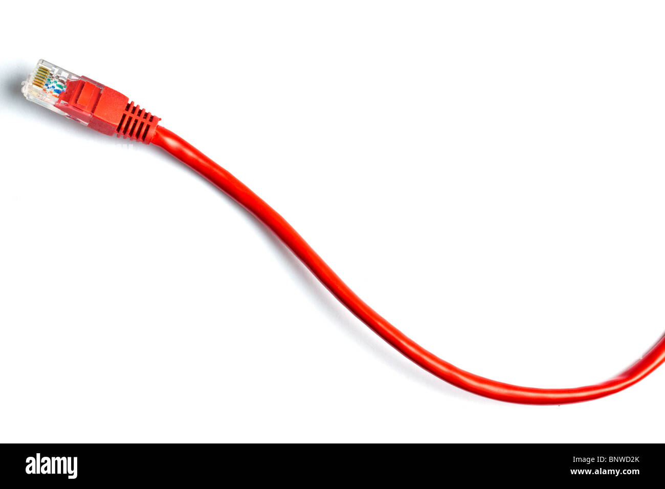 Red network plug isolated on white background Stock Photo - Alamy