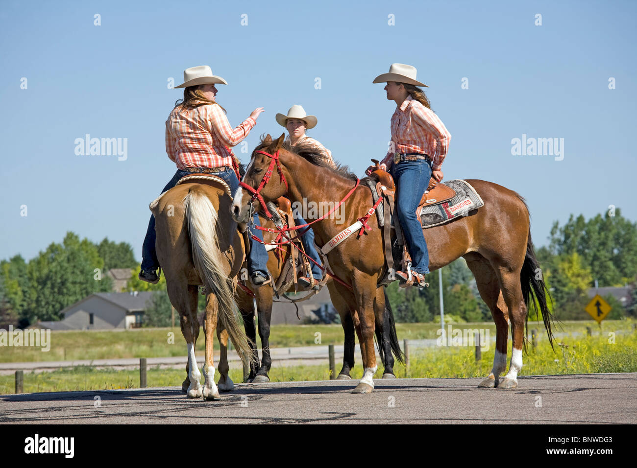 Cattle drive hi-res stock photography and images - Alamy