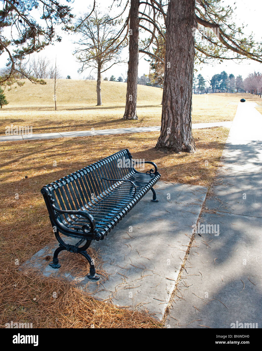 Shade tree bench hi-res stock photography and images - Alamy