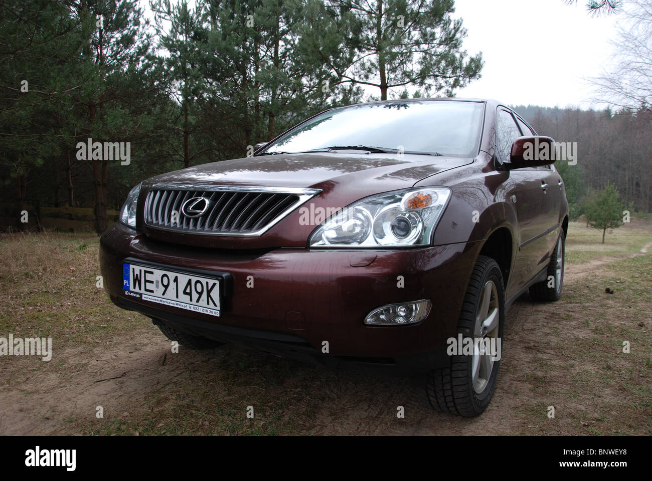 Lexus RX 350 - MY 2004 (MK2) - brown - five doors (5D) - Japanese ...