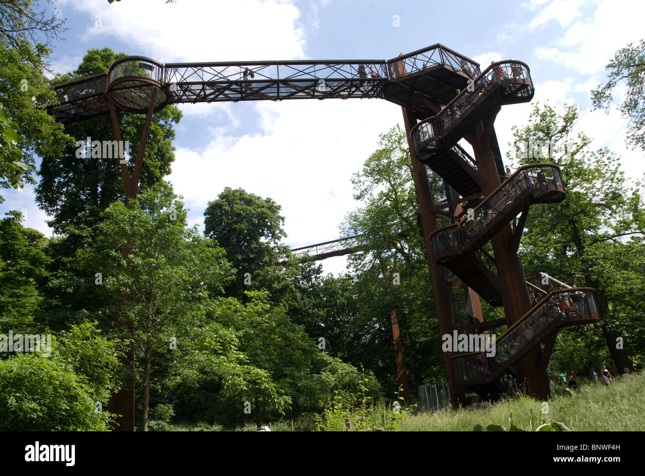 Treetop walk uk hi-res stock photography and images - Alamy