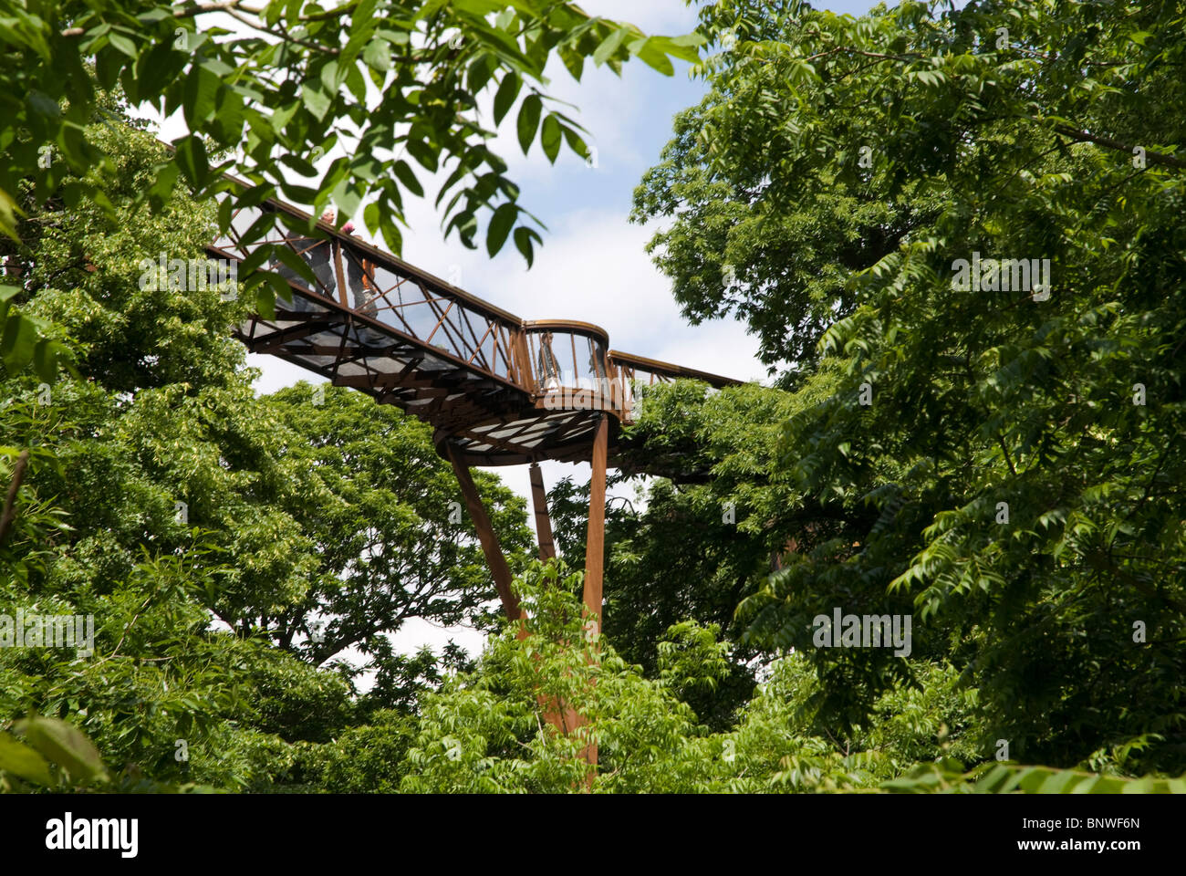 Treetop walk uk hi-res stock photography and images - Alamy