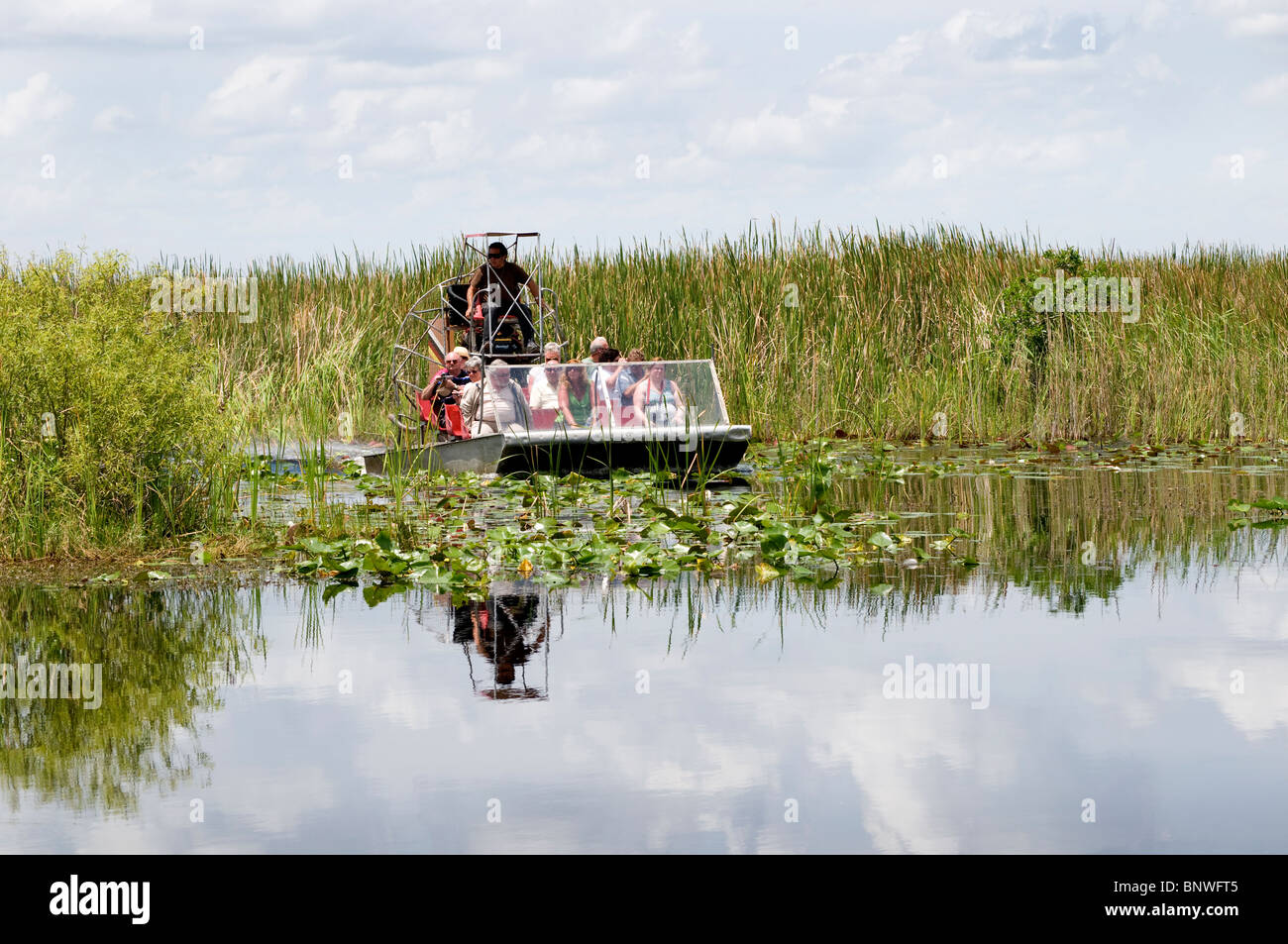 Seminole river water hi-res stock photography and images - Alamy