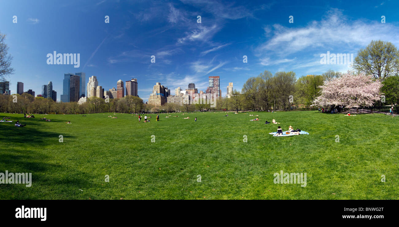 Sheep meadow central park hi-res stock photography and images - Alamy