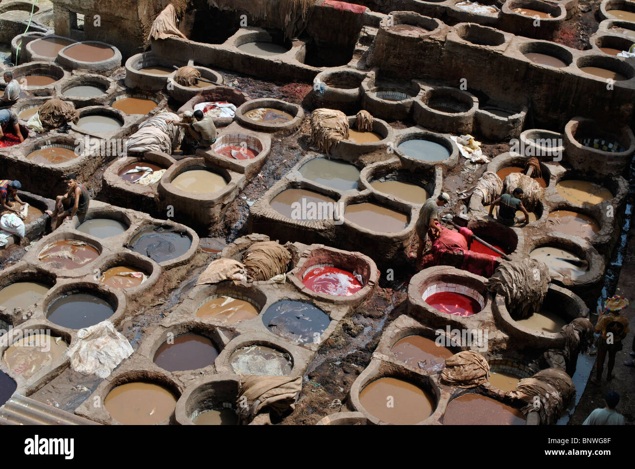 Moroccan leather tannery workers hi-res stock photography and images ...