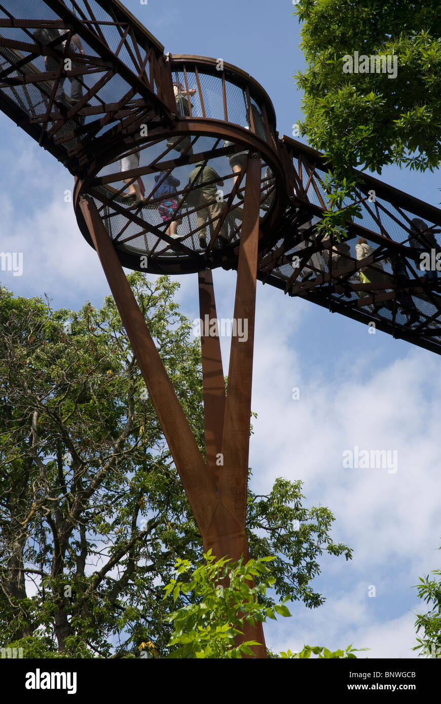 The tree walk, Kew Gardens, Surrey, UK Stock Photo - Alamy