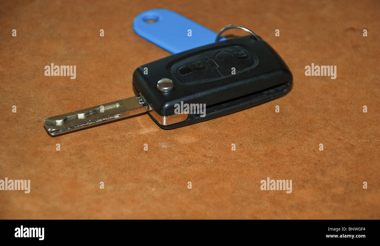 Car keys, car key (Peugeot) without logo - with keyring - brown ...