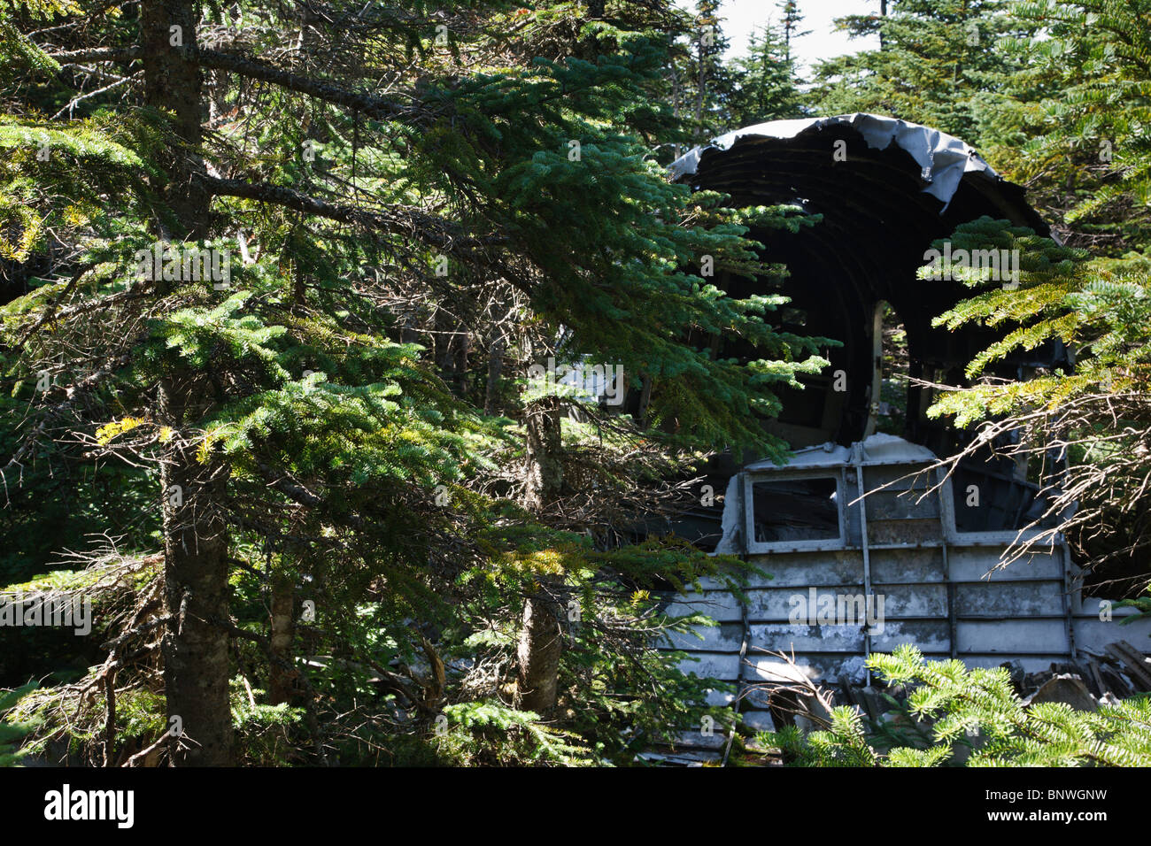 Appalachian Trail - Crash site of Northeast Airlines Flight 792 on ...