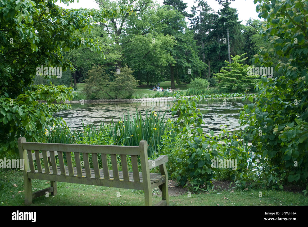 Lakeside bushes hi-res stock photography and images - Alamy