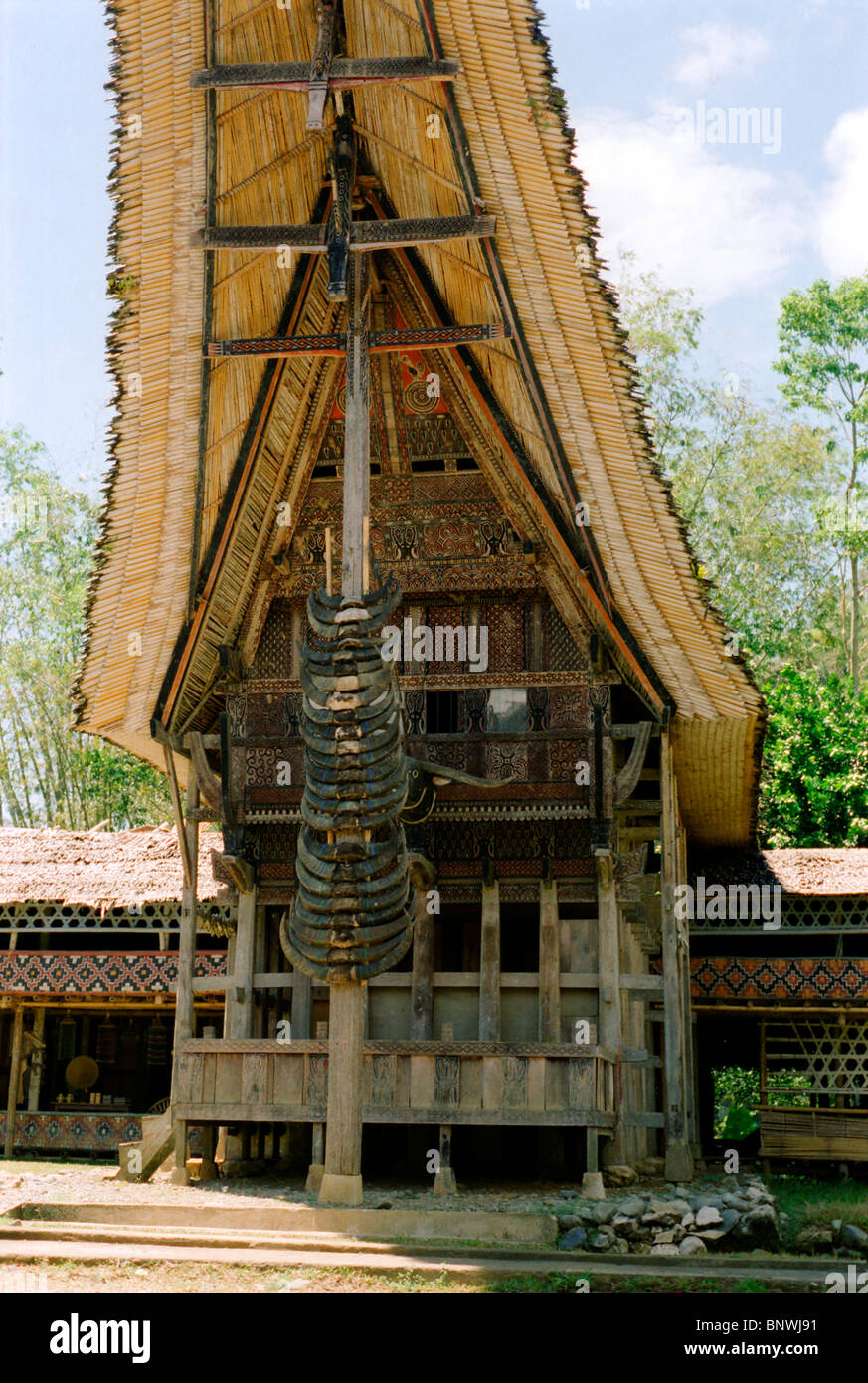 Toraja traditional house, Sulawesi, eastern Indonesia Stock Photo - Alamy
