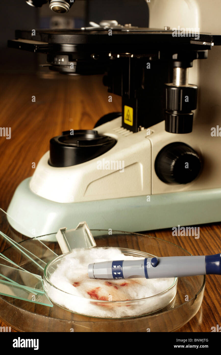 Haematology Slides High Resolution Stock Photography and Images - Alamy