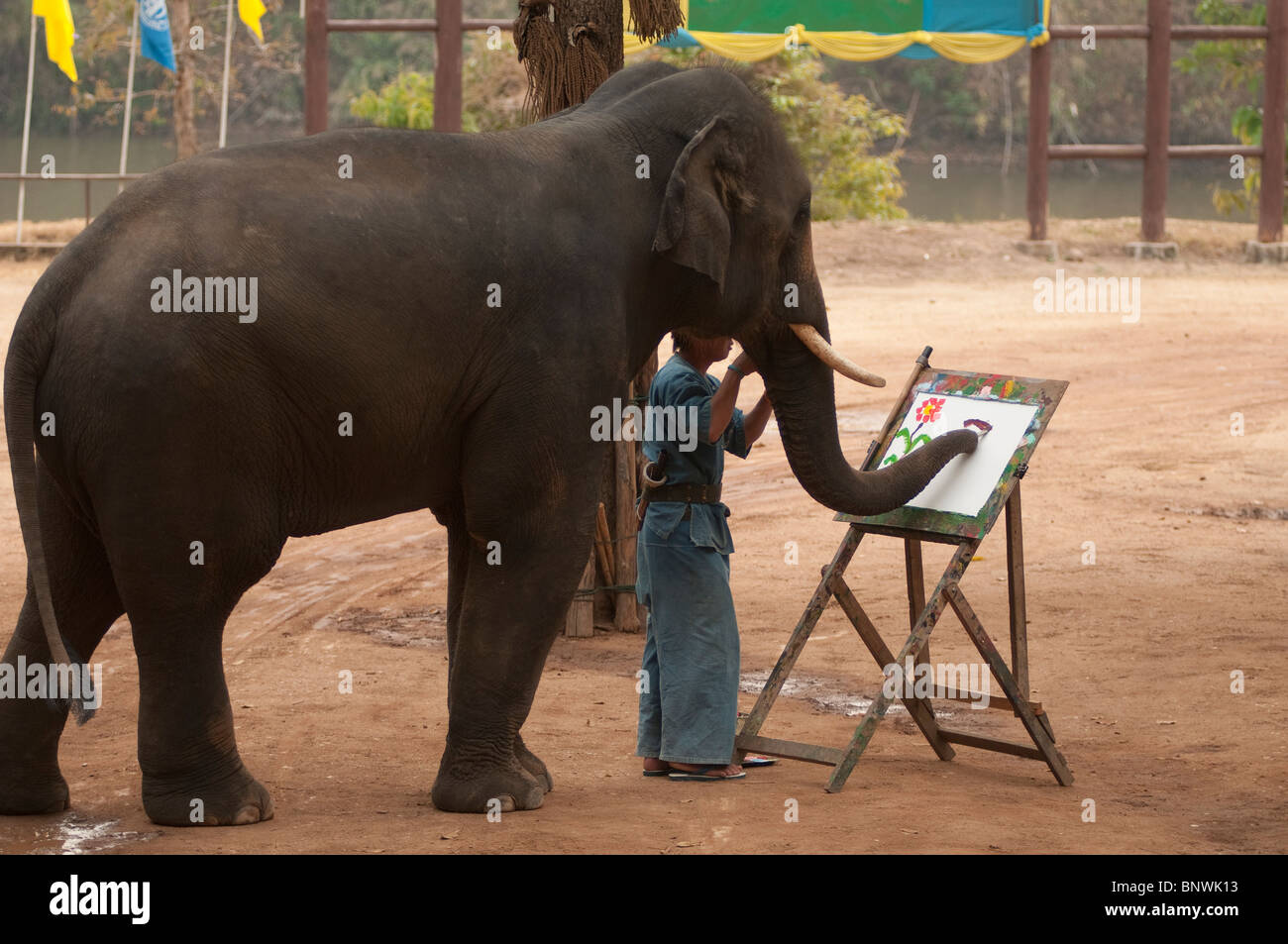 Elephant Conservation Center, Lampang, Thailand, Asia Stock Photo - Alamy