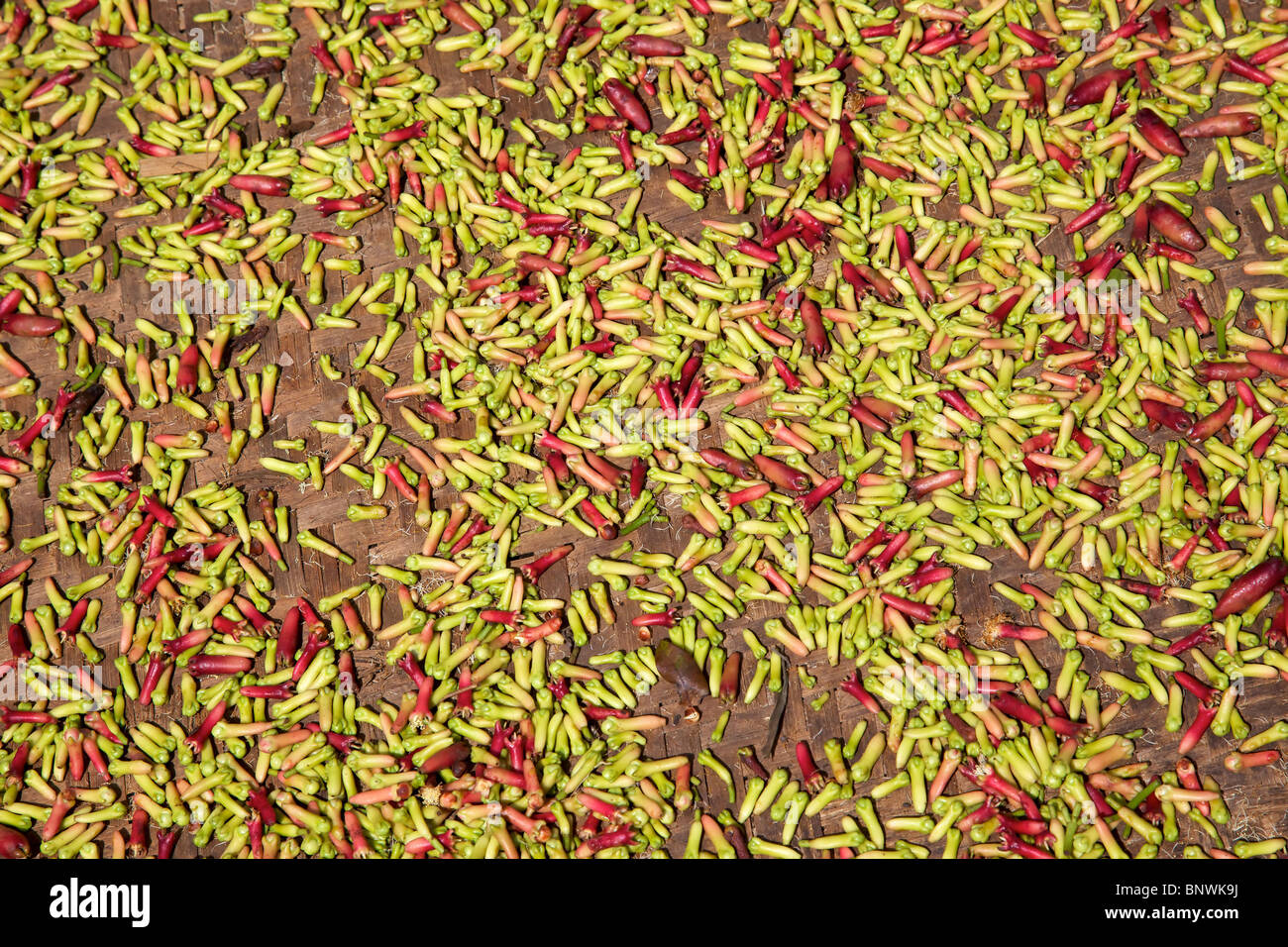 Cloves drying hi-res stock photography and images - Alamy