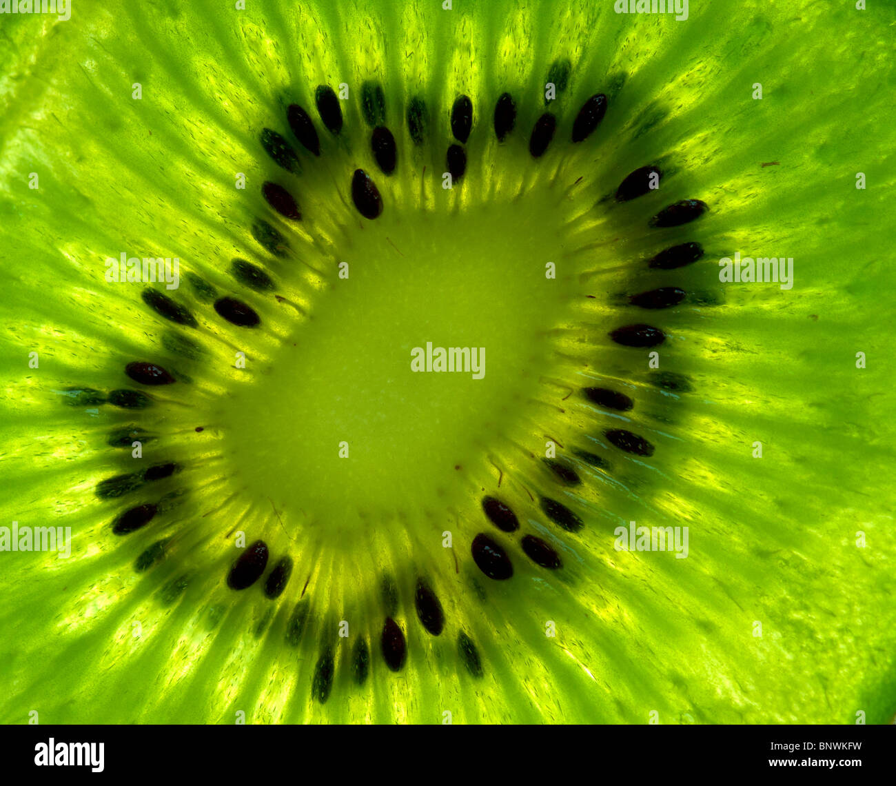 Fresh kiwi fruit extreme hi-res stock photography and images - Alamy
