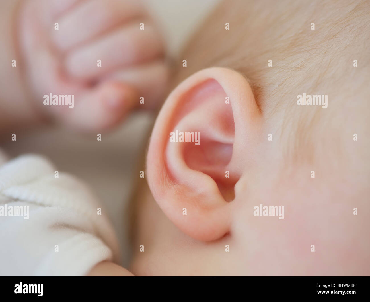 Tilted ear hi-res stock photography and images - Alamy