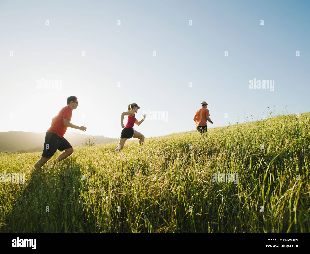 Grass running hi-res stock photography and images - Alamy