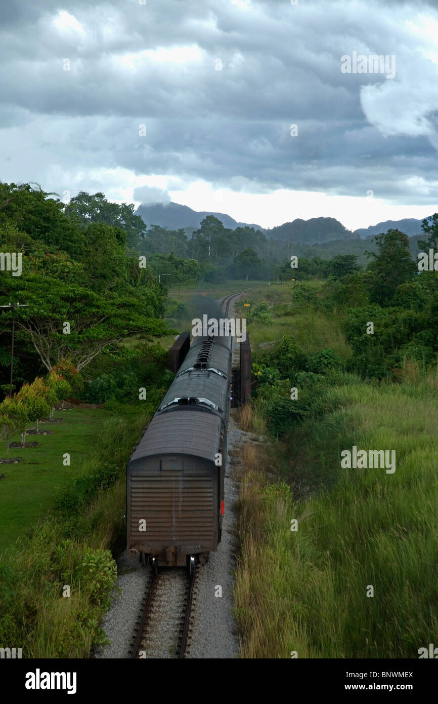 Train travelling through forest Stock Photo - Alamy