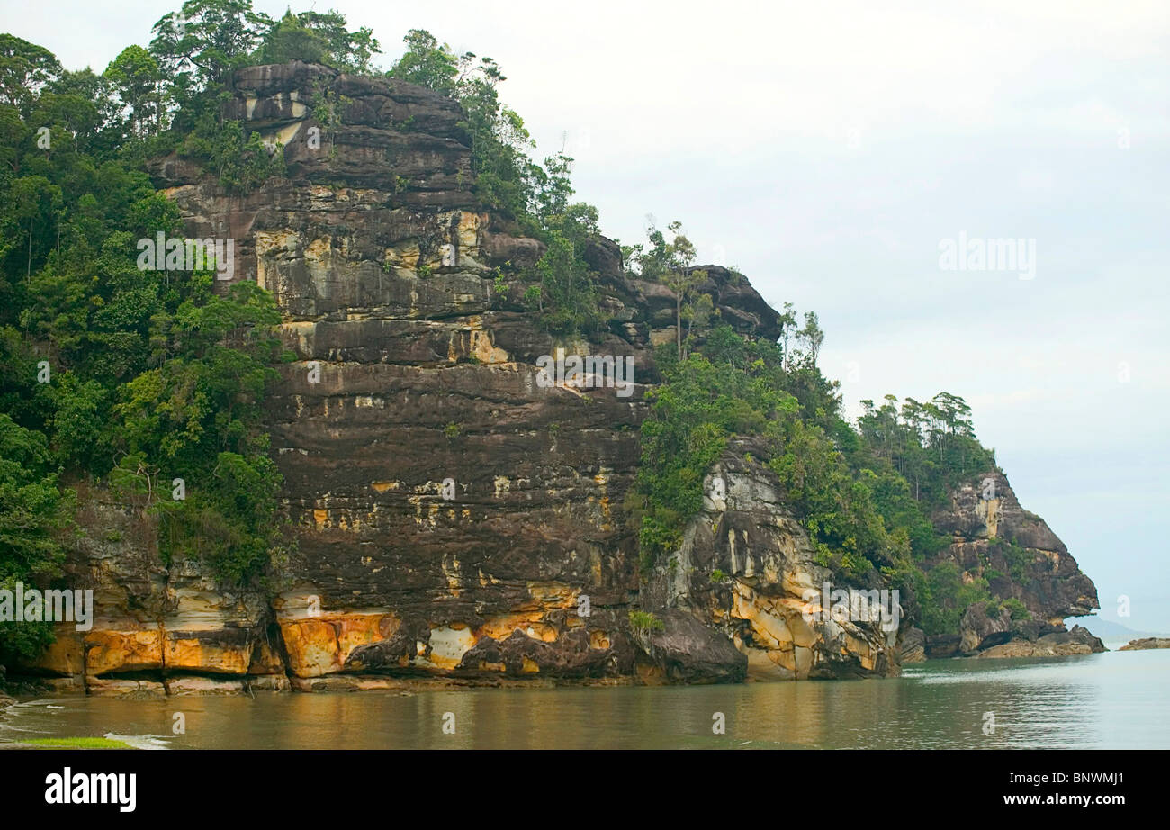 Bako National Park Stock Photo - Alamy
