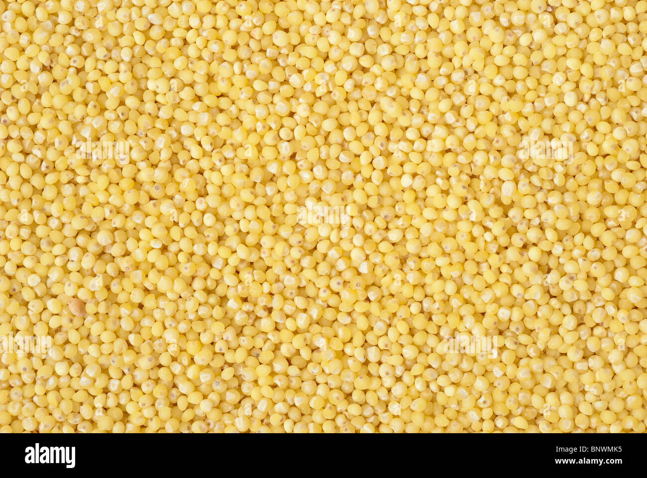 Millet plant hi-res stock photography and images - Alamy