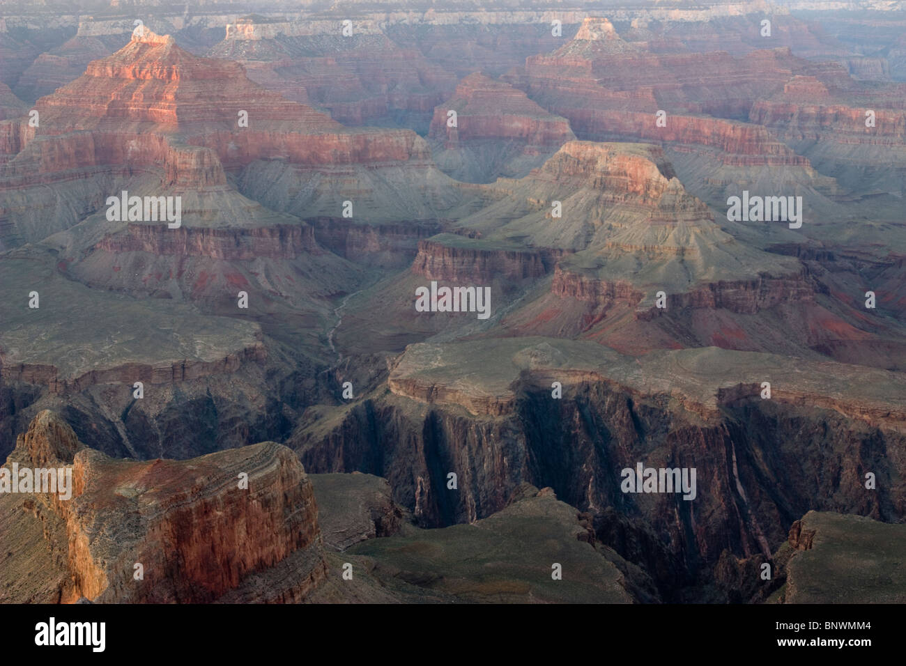 landscape view of the famous grand canyon national park in Arizona USA ...