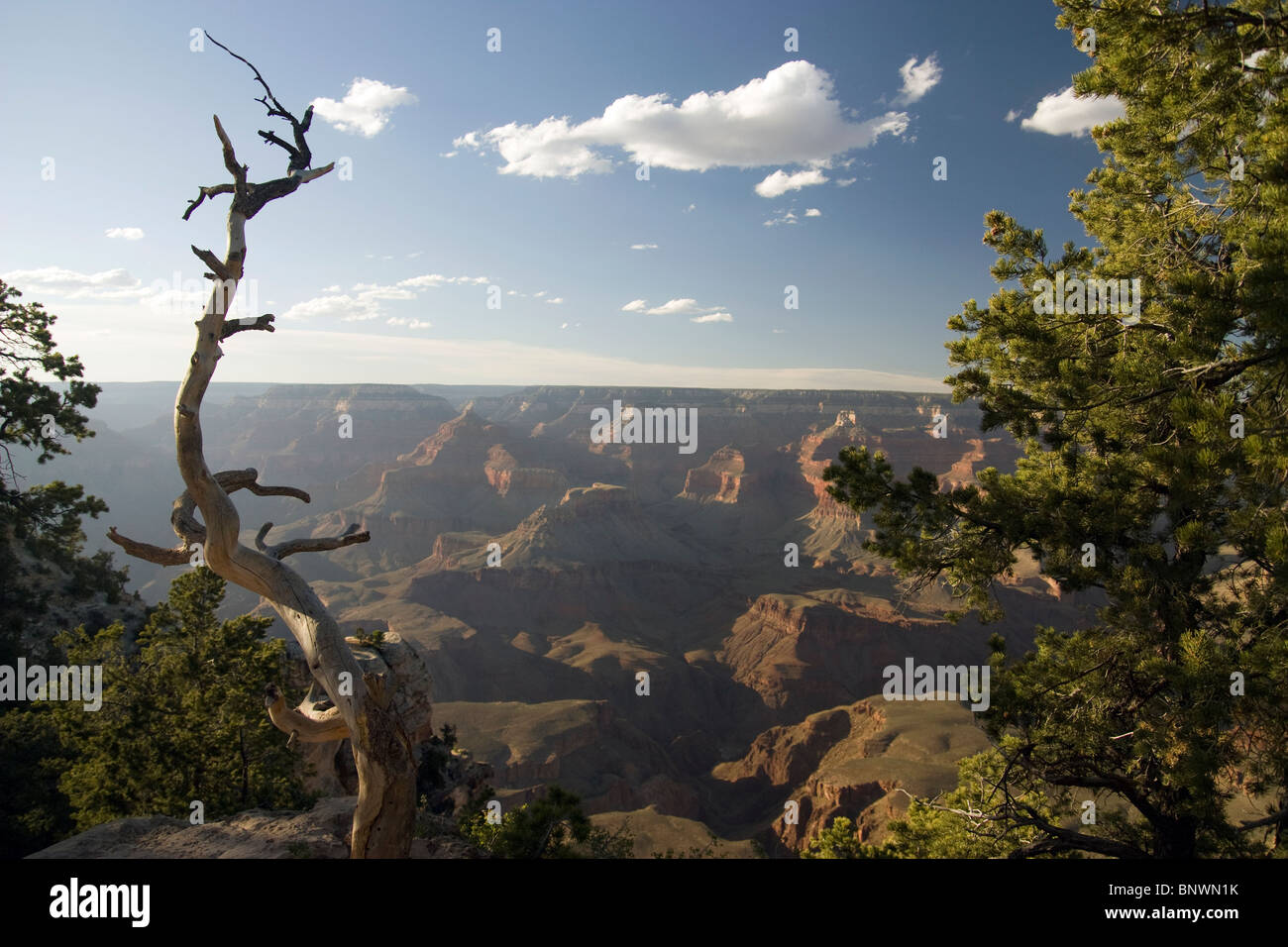 landscape view of the famous grand canyon national park in Arizona USA ...