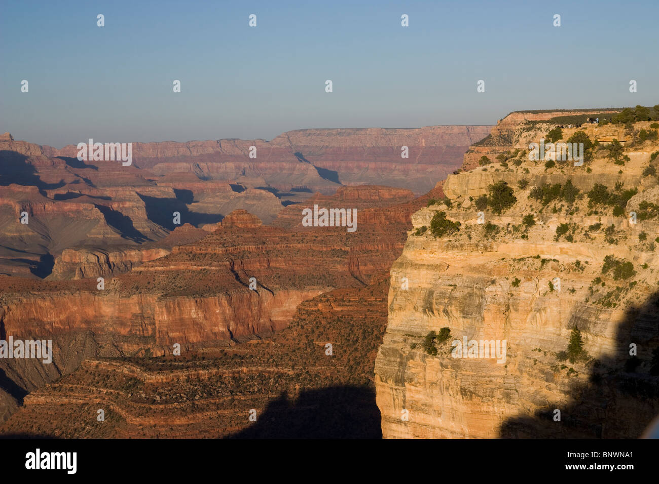 landscape view of the famous grand canyon national park in Arizona USA ...